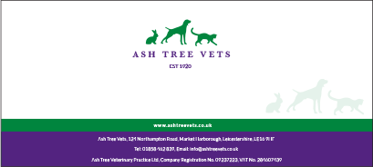 Seventy9 Portfolio Ash Tree Vets Website Design Project | Seventy9